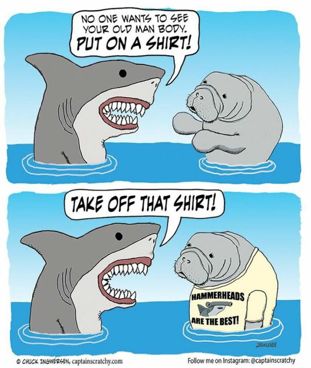 20 Funny Animal Comics That Might Brighten Your Day | DeMilked