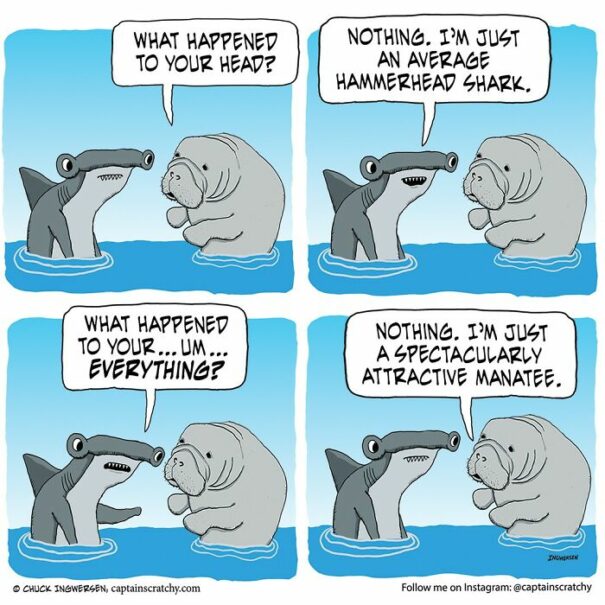 20 Funny Animal Comics That Might Brighten Your Day | DeMilked