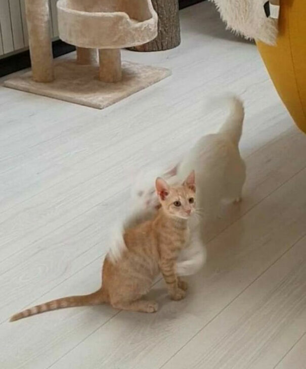 People Shared 40 Pics Taken Moments Before Disaster Struck | DeMilked