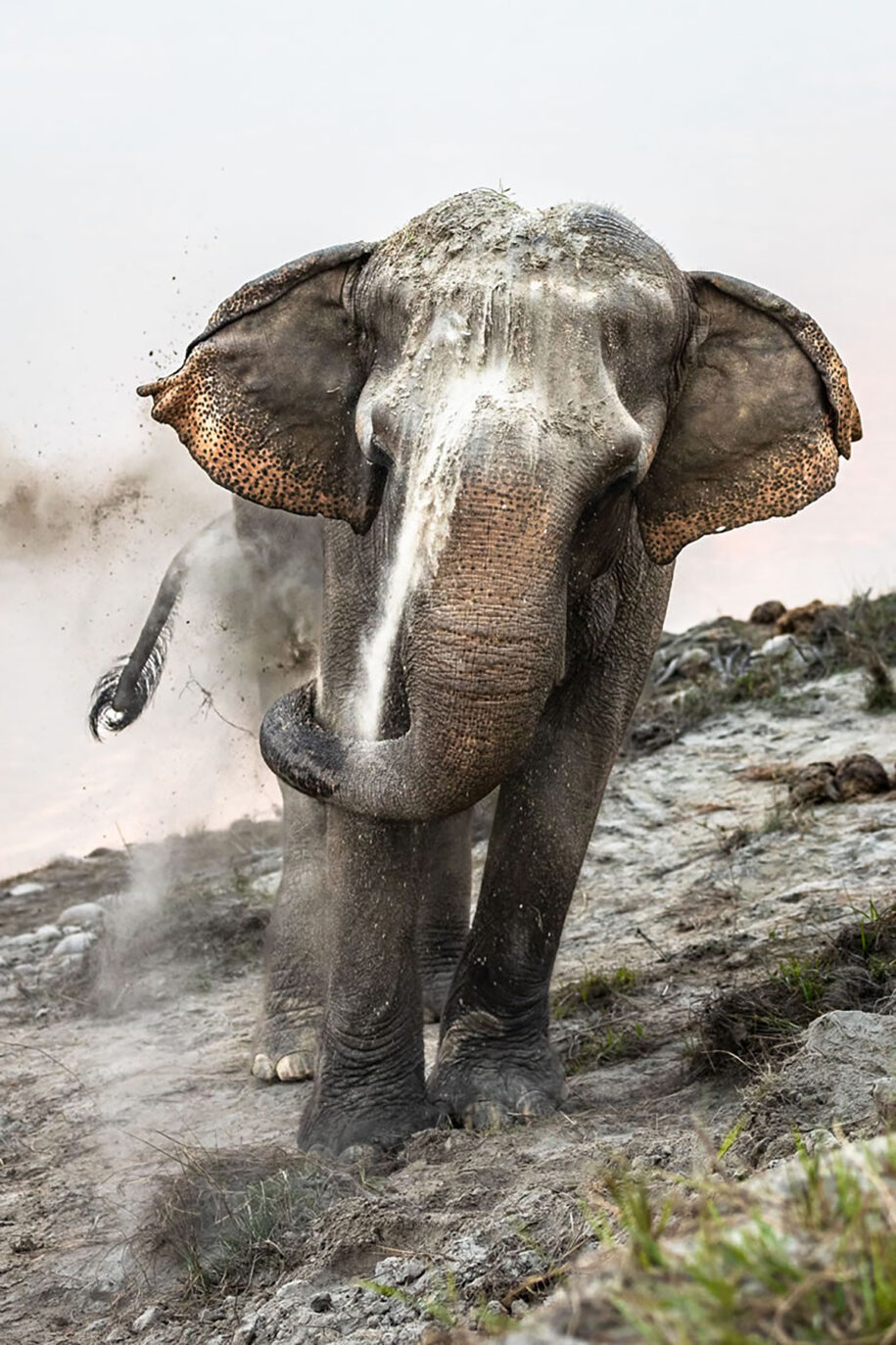 15 Photos From Sony World Photography Awards 2024 That Won Millions Of ...