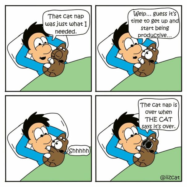 20 Illustrations That Perfectly Depicts What It's Like To Live With A ...