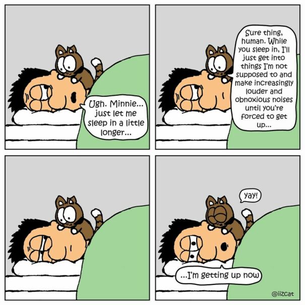 20 Illustrations That Perfectly Depicts What It's Like To Live With A ...