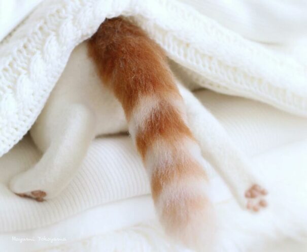 Japanese Artist Creates Stunningly Realistic Cats With Felt Wool (20 ...