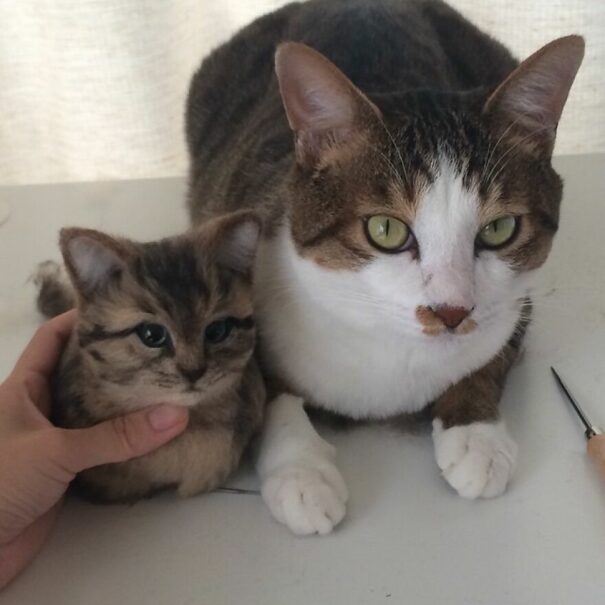 Japanese Artist Creates Stunningly Realistic Cats With Felt Wool (20 ...