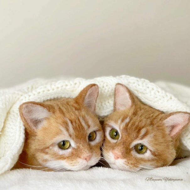 Japanese Artist Creates Stunningly Realistic Cats With Felt Wool (20 ...