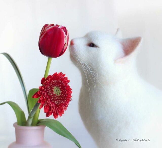 Japanese Artist Creates Stunningly Realistic Cats With Felt Wool (20 ...