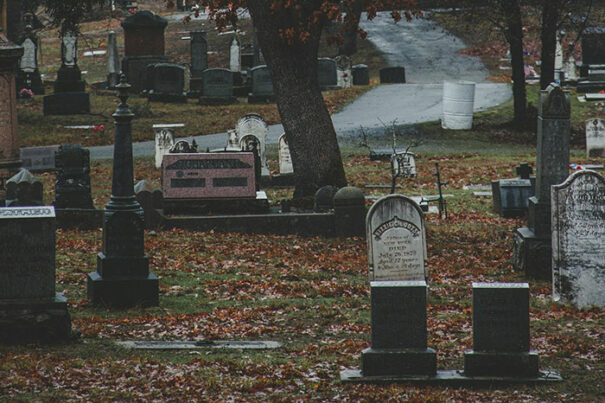 40 Unsettling Facts That People Admit Deeply Disturb Them | DeMilked