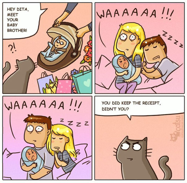 25 Comics That Depict Dita The Cat’s Charismatic Energy | DeMilked