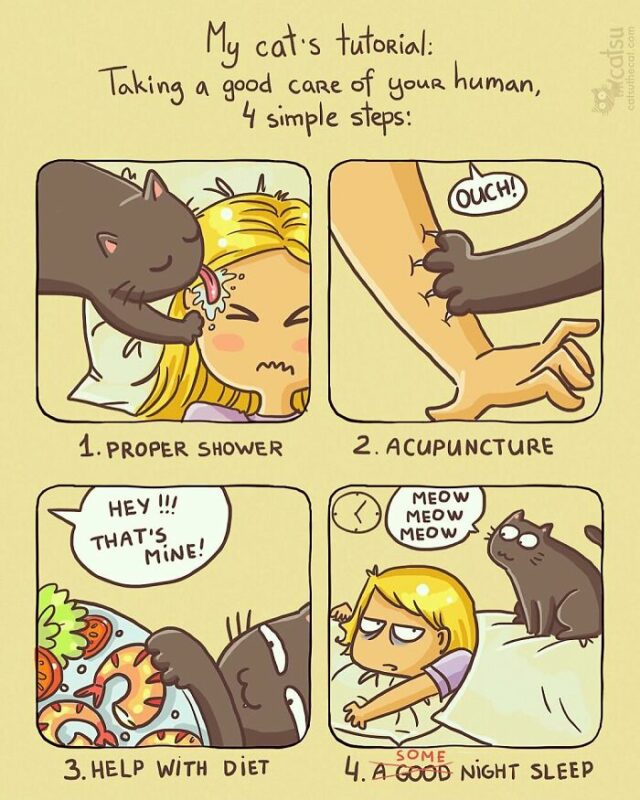 25 Comics That Depict Dita The Cat’s Charismatic Energy | DeMilked
