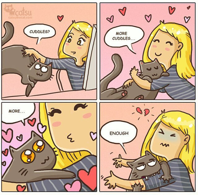 25 Comics That Depict Dita The Cat’s Charismatic Energy | DeMilked