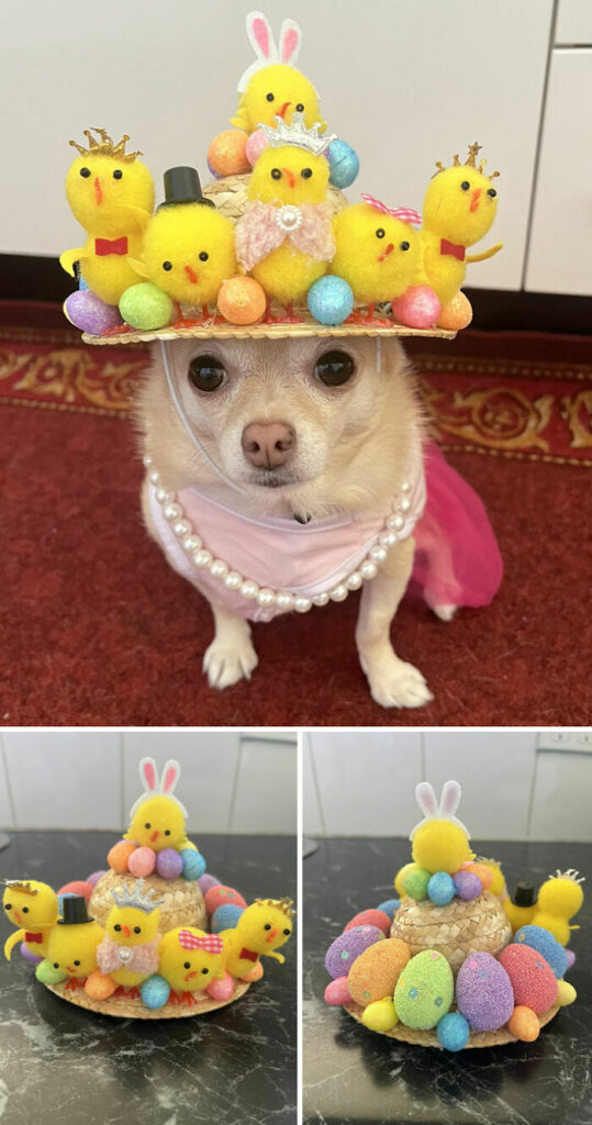 40 Of The Most Creative Easter Decors Designed By Crafters | DeMilked