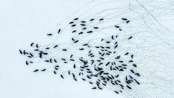 35 Random Pics From Europe That Show Us Some Unique Aspects Of The ...