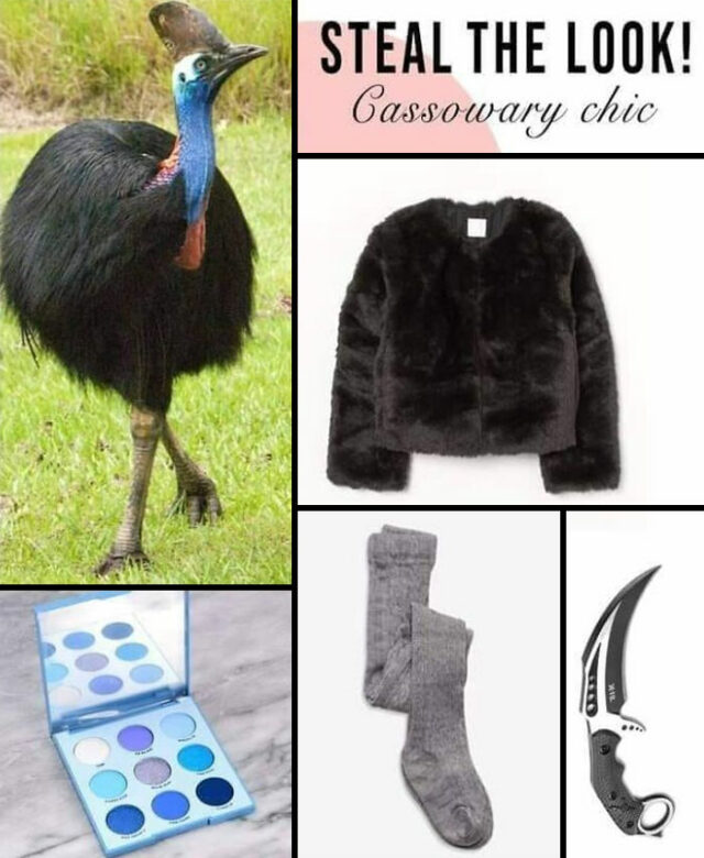25 Of The Funniest “Birding Memes” Found On A Dedicated Meme Page ...