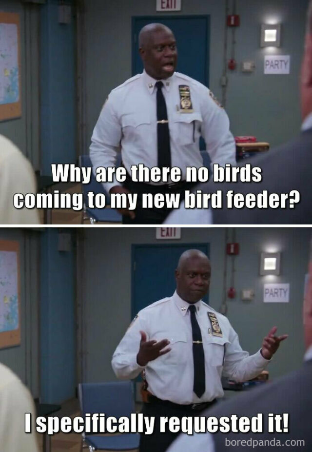 25 Of The Funniest “Birding Memes” Found On A Dedicated Meme Page ...