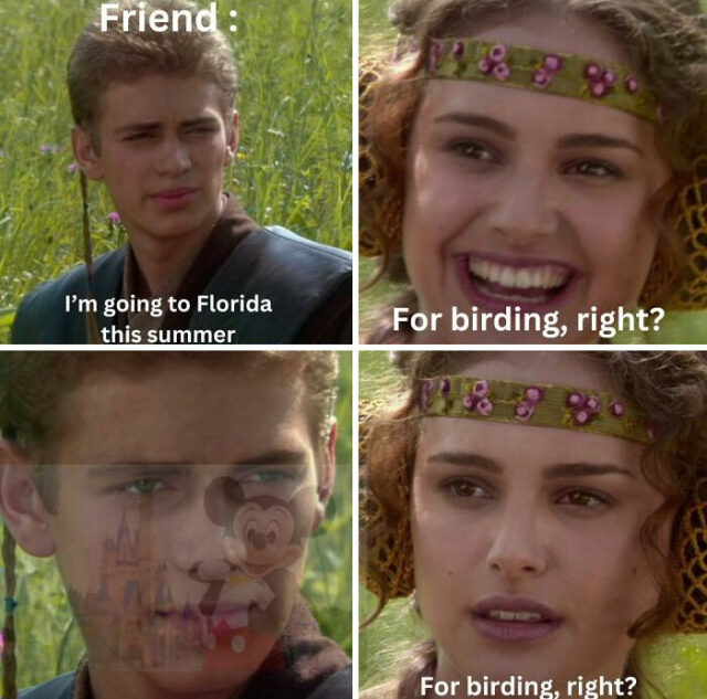 25 Of The Funniest “Birding Memes” Found On A Dedicated Meme Page ...