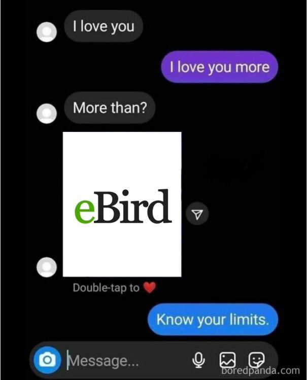 25 Of The Funniest “Birding Memes” Found On A Dedicated Meme Page ...