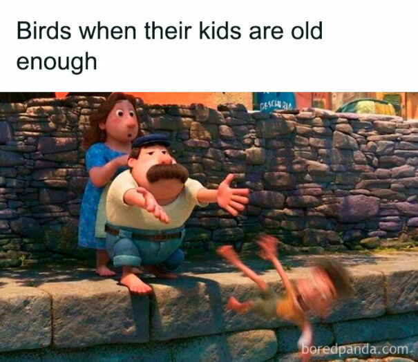 25 Of The Funniest “Birding Memes” Found On A Dedicated Meme Page ...