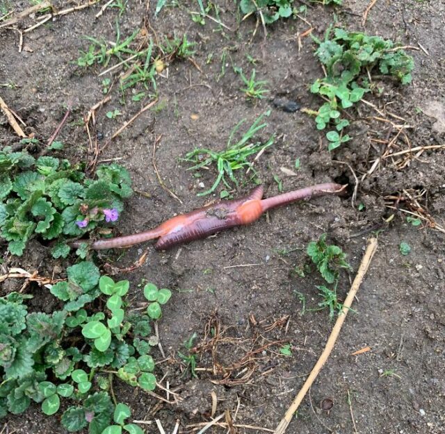 35 Times People Seeked Help In This Online Community To Identify ...