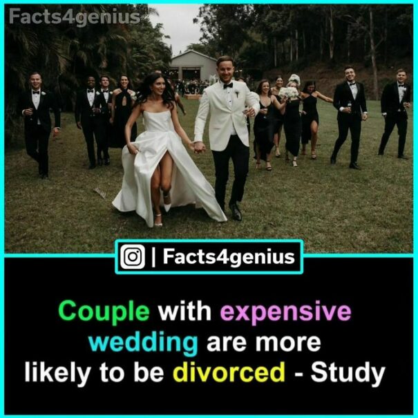 25 Little-Known Facts About Random Things Shared By This Instagram Page ...