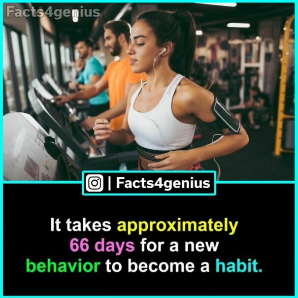 25 Little-Known Facts About Random Things Shared By This Instagram Page ...