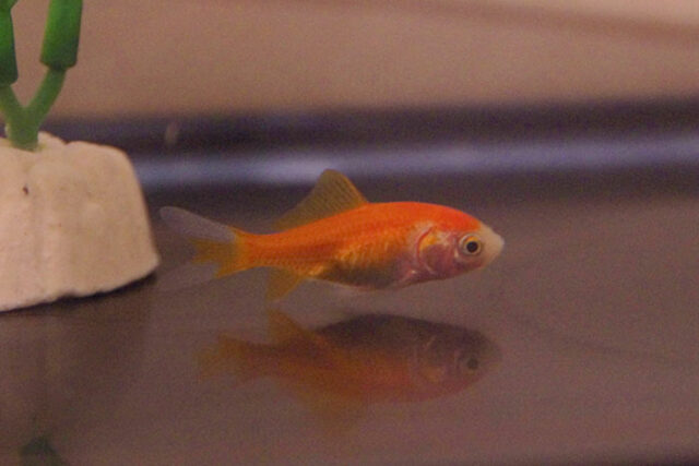 30 Normalised Things That Are Actually Pretty Abnormal | DeMilked