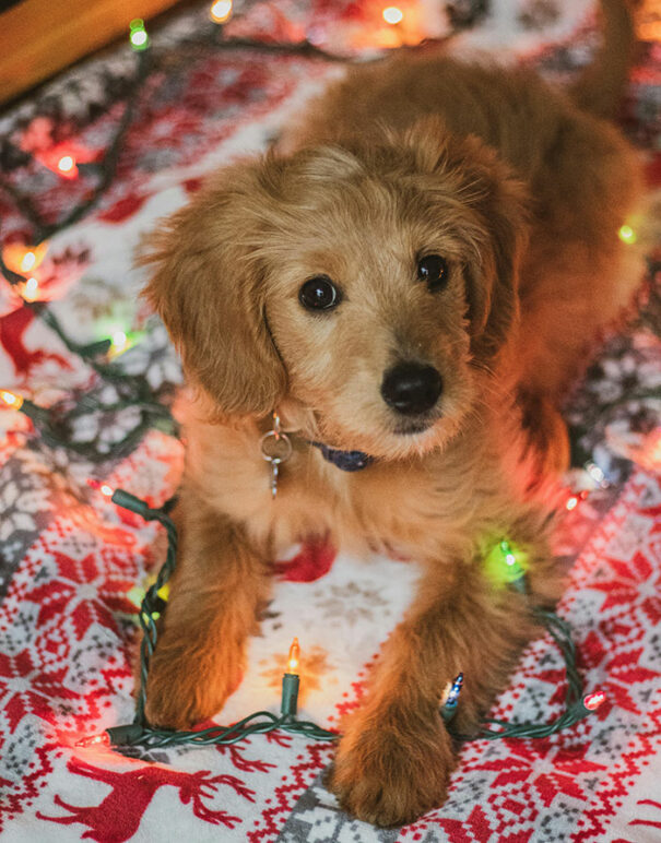 30 Normalised Things That Are Actually Pretty Abnormal | DeMilked