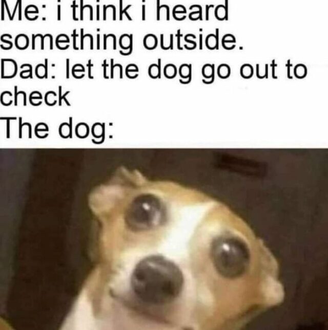 30 Funny And “Out Of Context Animals” Who Got Featured On This Meme ...
