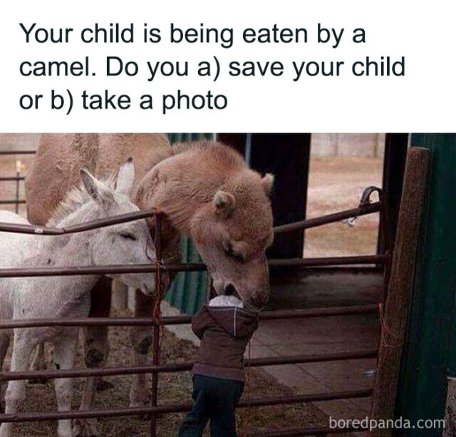 25 Hilariously Relatable Memes For Anyone Raising Kids | DeMilked