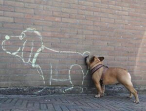 40 ‘Weird, Bizarre & Beautiful’ Things That Were Photographed Around ...