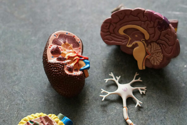 30 People Share The Most Abnormal Things About Their Bodies | DeMilked