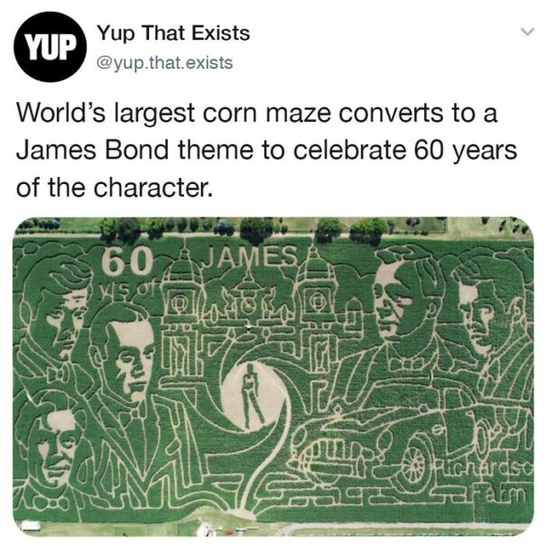 "Yup That Exists”: 40 Very Real Things That Sound Hard To Believe ...