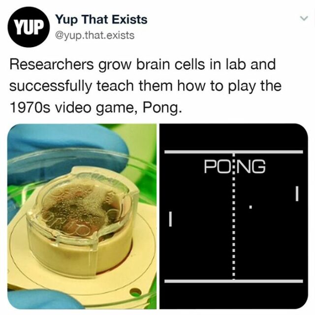 "Yup That Exists”: 40 Very Real Things That Sound Hard To Believe ...