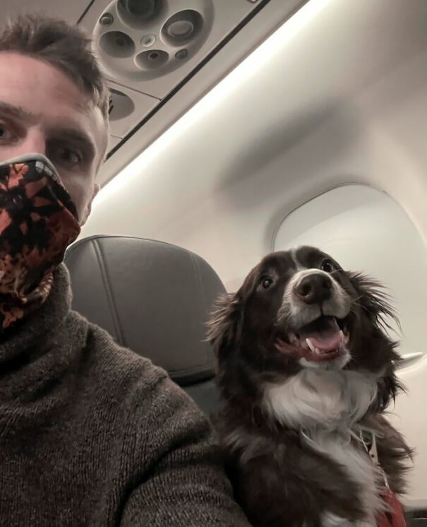 40 Furry Travelling Companions That Melted Hearts | DeMilked