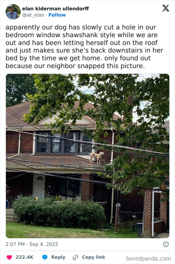 35 Funny And Heartwarming Posts That Might Leave You With A Smile ...