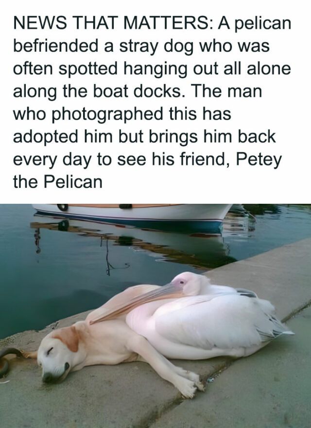 35 Funny And Heartwarming Posts That Might Leave You With A Smile ...