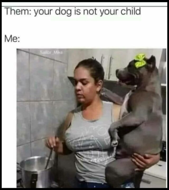 35 Rib-Tickling Memes Every Dog Lover Would Love | DeMilked