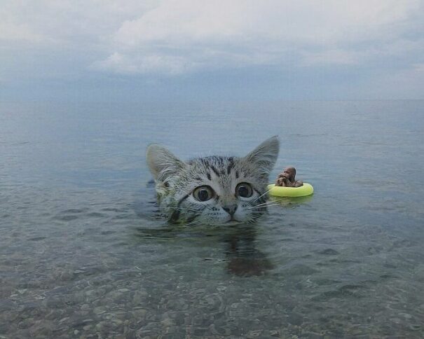 Artist Uses Photoshop To Give Us A Glimpse Into His Reimagined World Of ...