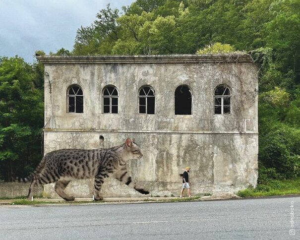 Artist Uses Photoshop To Give Us A Glimpse Into His Reimagined World Of ...