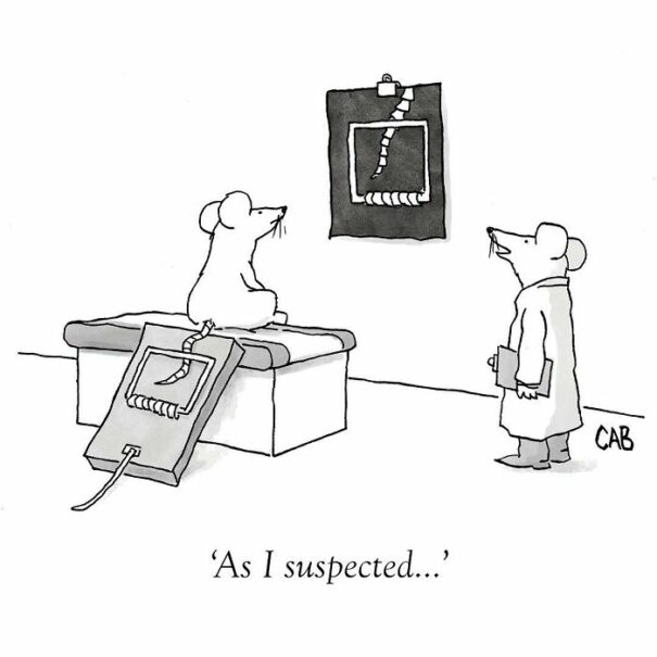 25 Times This Artist Created Single-Panel Cartoons With Hilariously ...