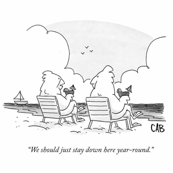 25 Times This Artist Created Single-Panel Cartoons With Hilariously ...