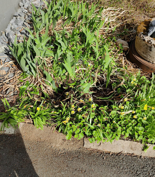 40 Irritating Behaviours From Partners That Made Someone Rethink Their ...