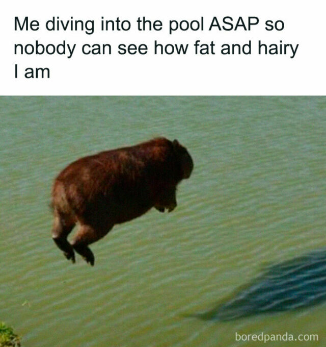 “The Michael Jordan Of Memes”: 40 Funny Memes That You Have To See ...