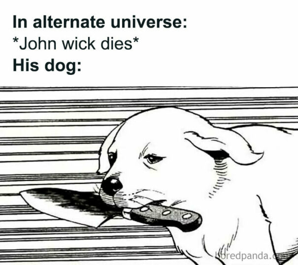 “The Michael Jordan Of Memes”: 40 Funny Memes That You Have To See ...