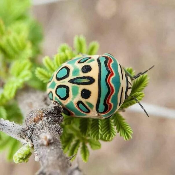 30 Pics Of "Weird, Strange and Interesting Things” That Might Pique ...
