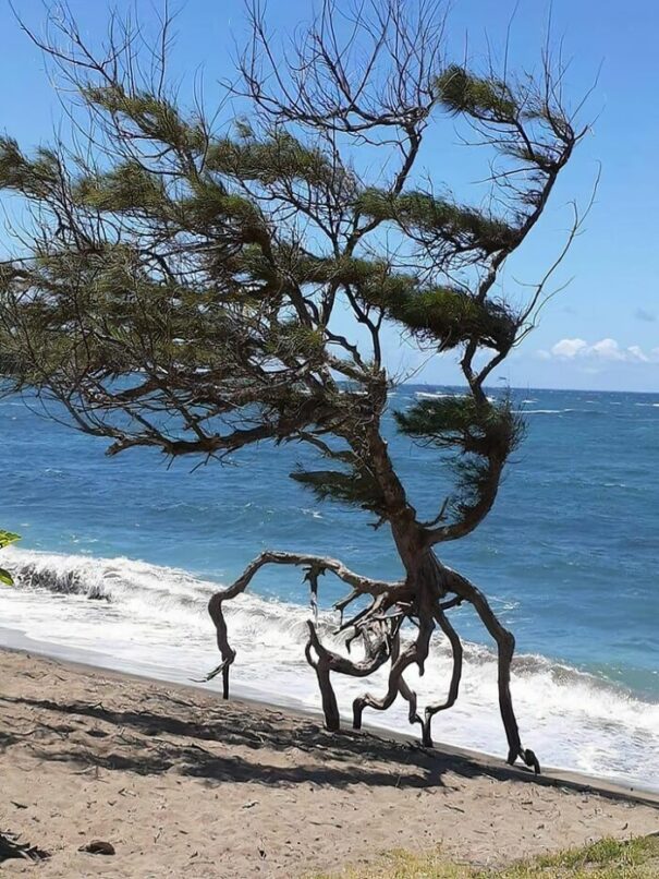 30 Pics Of "Weird, Strange and Interesting Things” That Might Pique ...