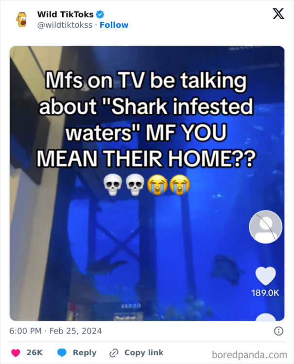 25 “Wild TikToks” That Range From Funny To Cringe | DeMilked