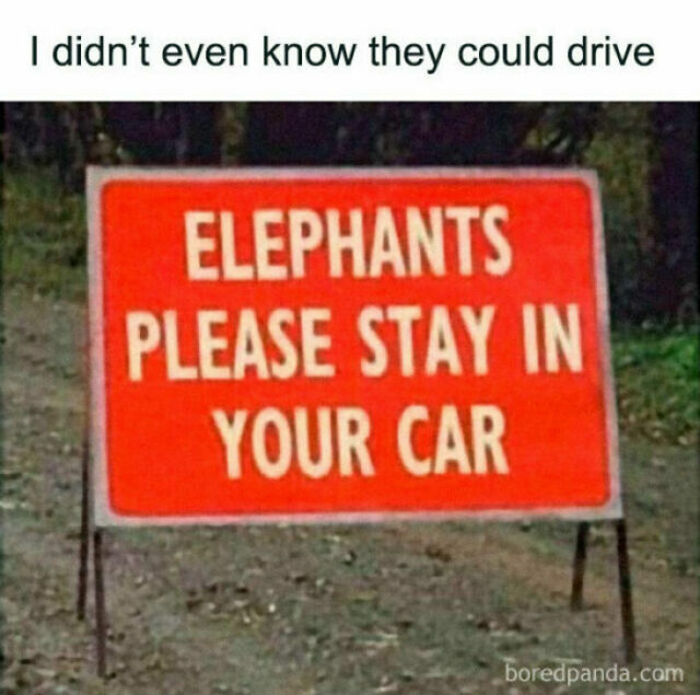 40 Odd, Absurd, And Funny Signs You Don’t See Every Day | DeMilked