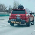 40 Odd, Absurd, And Funny Signs You Don’t See Every Day | DeMilked