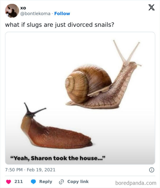 25 Of The Most Relatable Tweets Shared On X | DeMilked