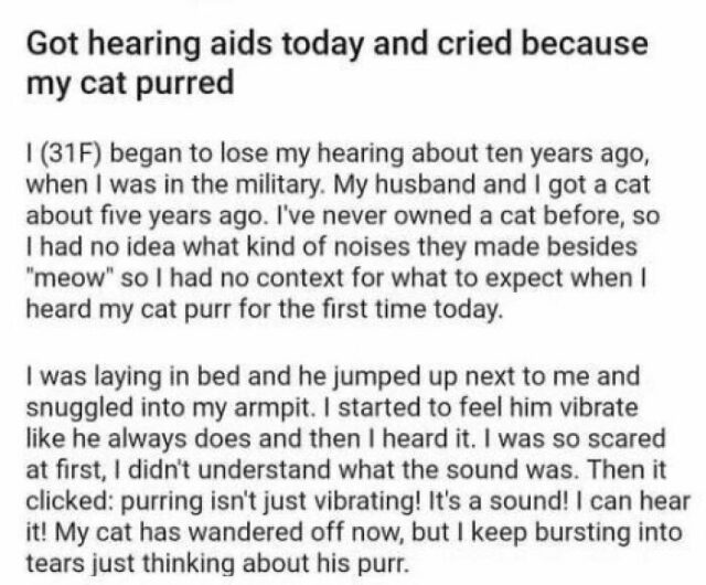 40 Epic Animal Memes Found On The ‘Epic World Page’ IG Account | DeMilked